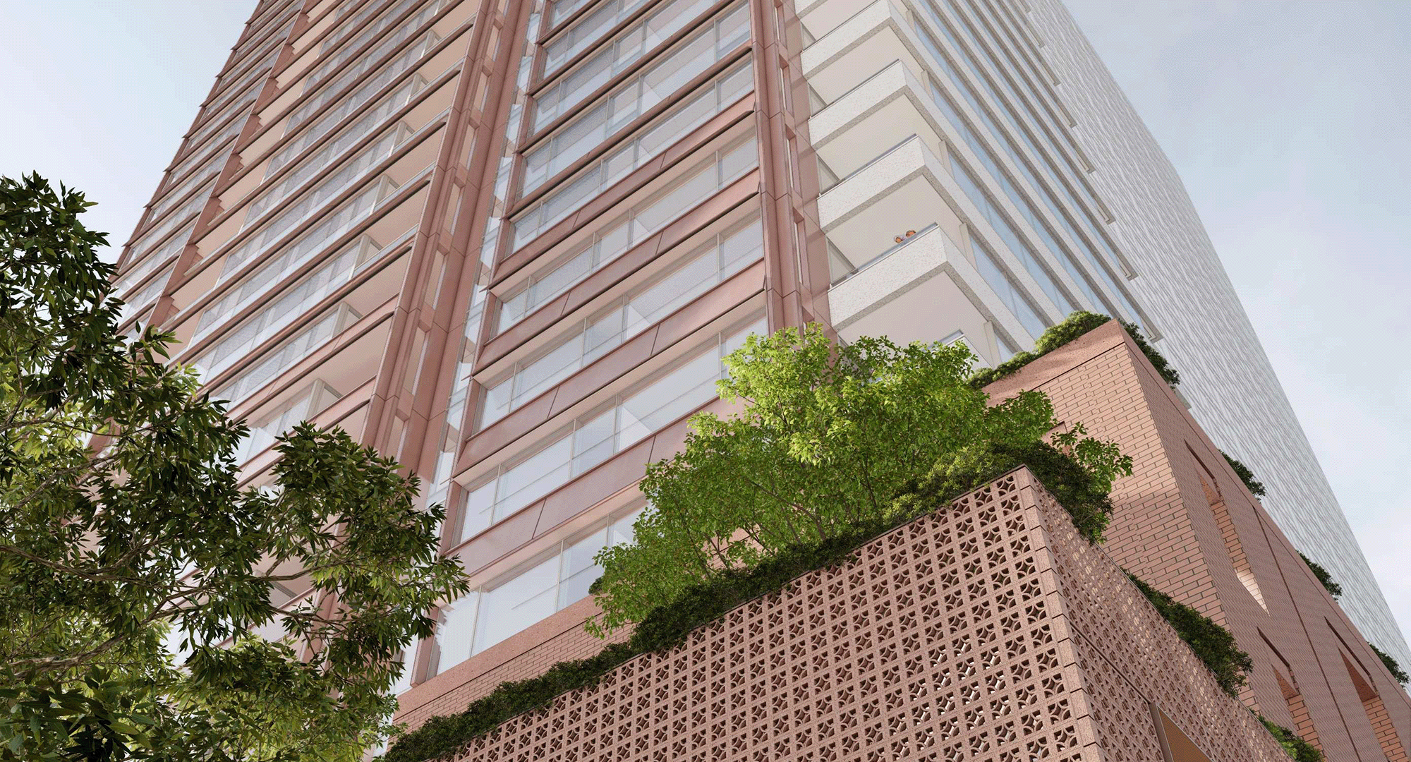 News - Novus Australia